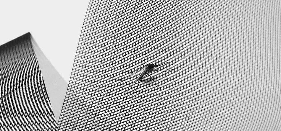 Insect Screen Systems