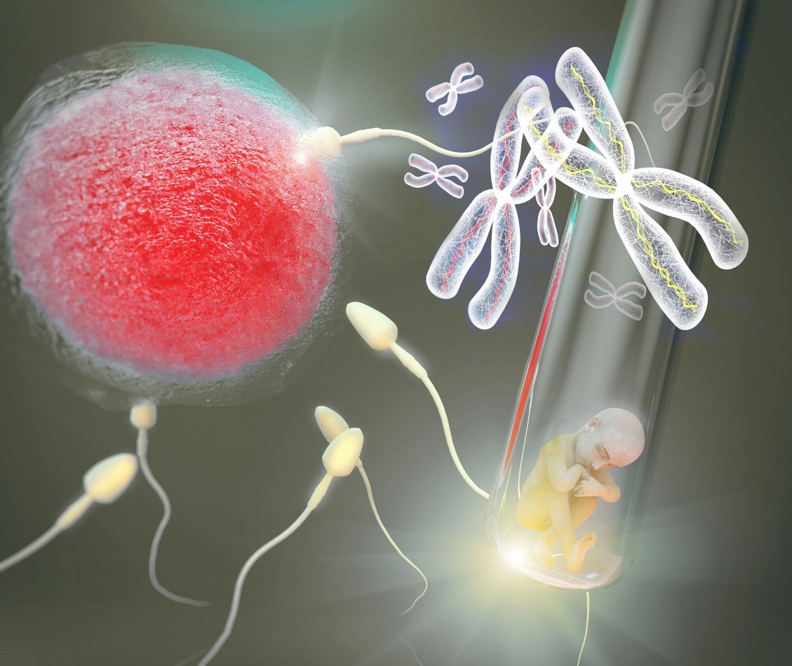 Egg, Sperm, Embryo Donation and Surrogate Mother