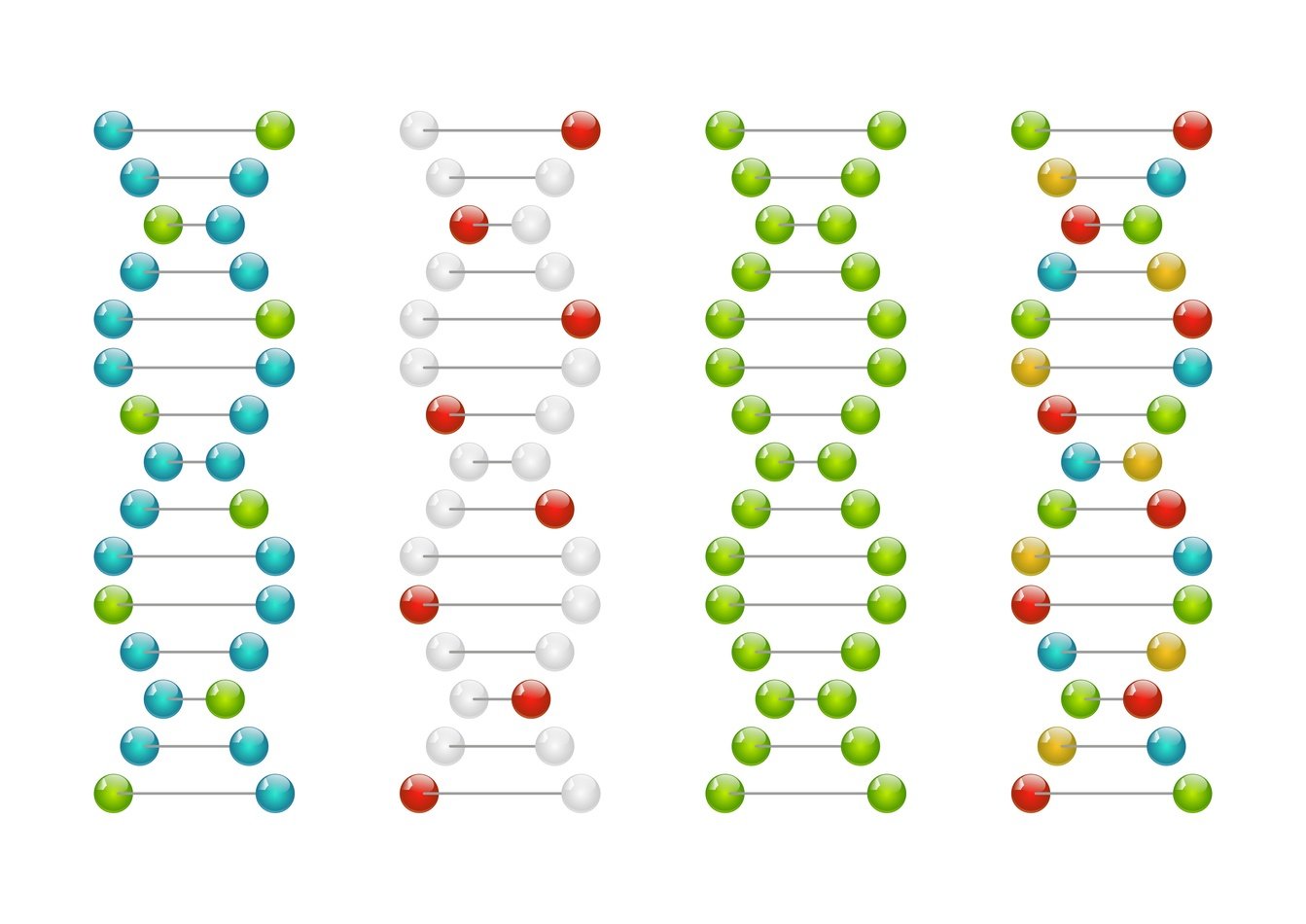 LIM-15 PCNA Gene Expression Test
